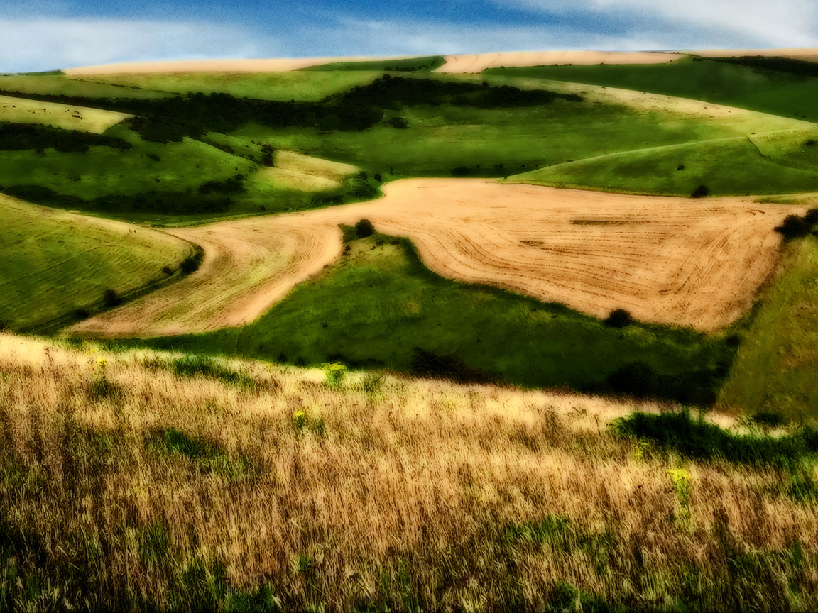 All Images Copyright © Allan Grainger 2021